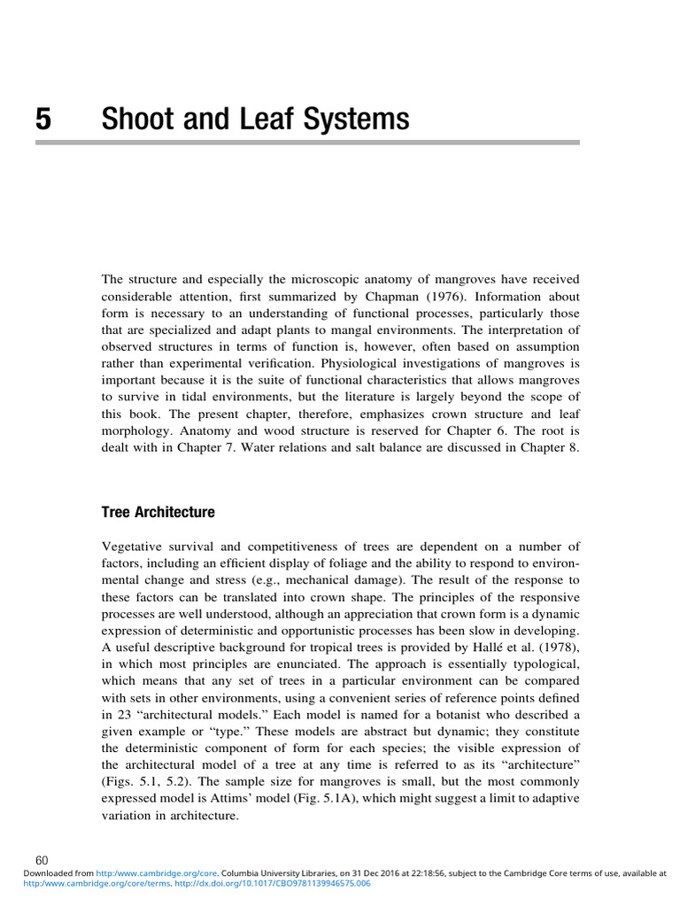 Shoot and Leaf Systems of Mangrove | PDF