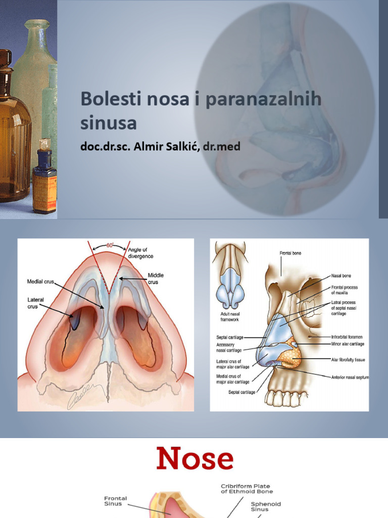 Bolesti Nosa I PNS | PDF