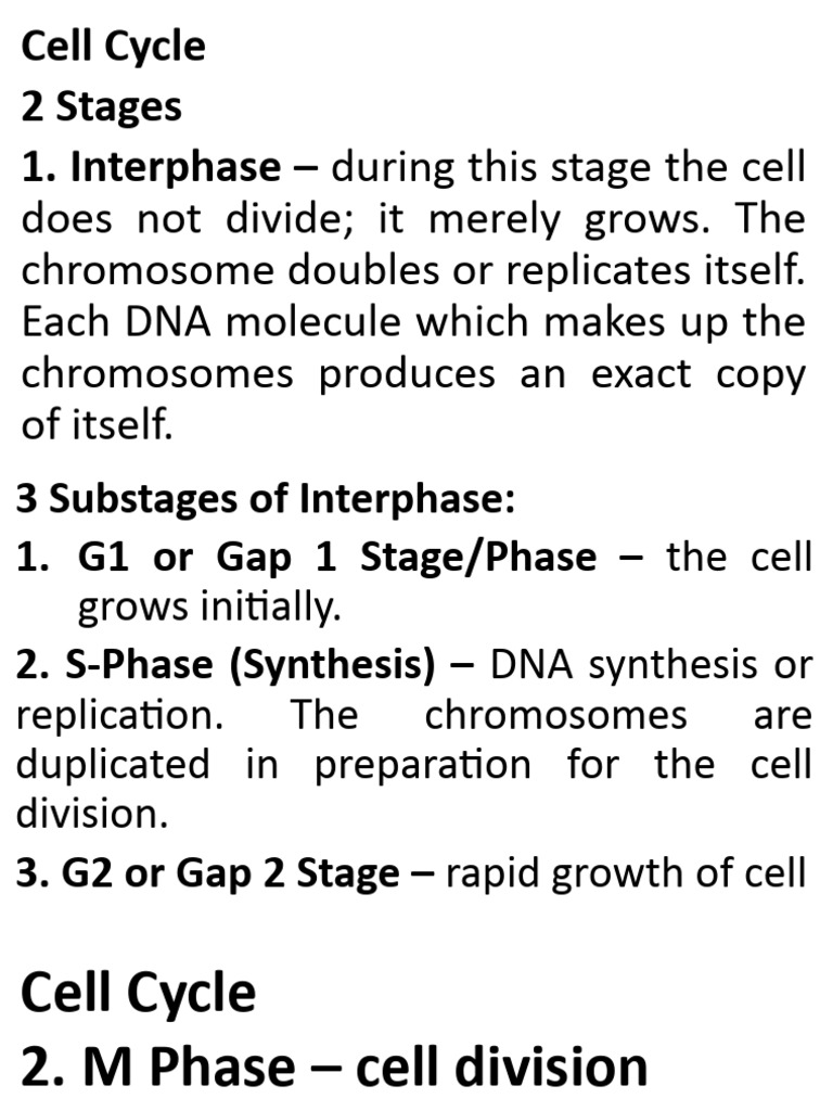 Cell Cycle Division | PDF