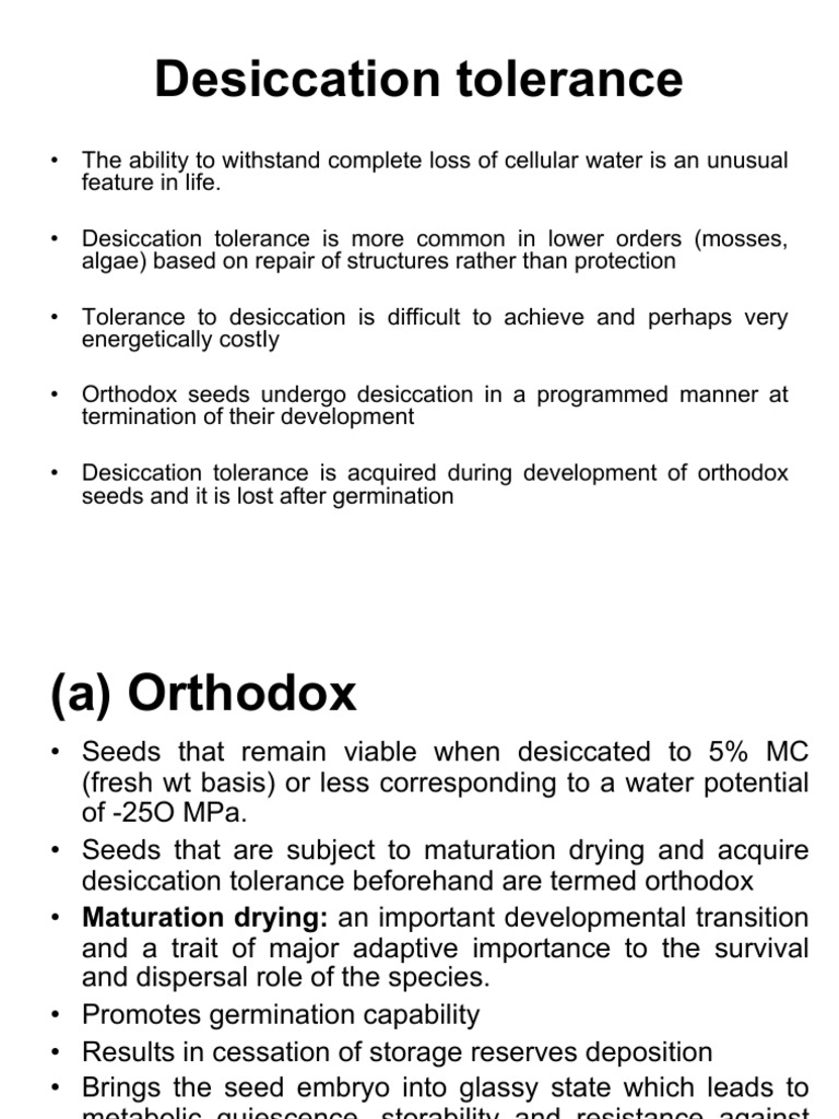 Desiccation Tolerance.10.12.12 | PDF | Lipid Bilayer | Seed