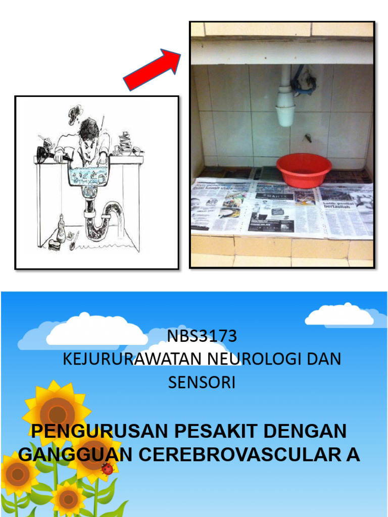 Pengurusan Pesakit Dengan Cva | PDF Pengurusan Pesakit Dengan Cva | PDF