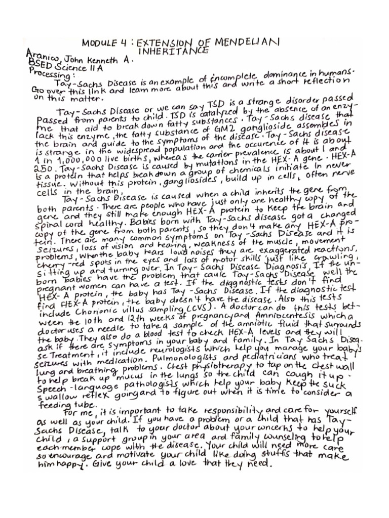 Module 4 Answers | PDF