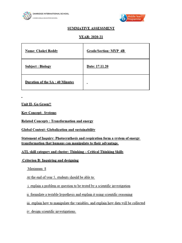 SA2 MYP 4 Crit B &C | PDF