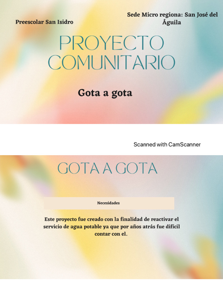 Proyecto Comunitario | PDF