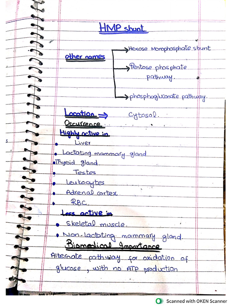 HMP Shunt Notes | PDF
