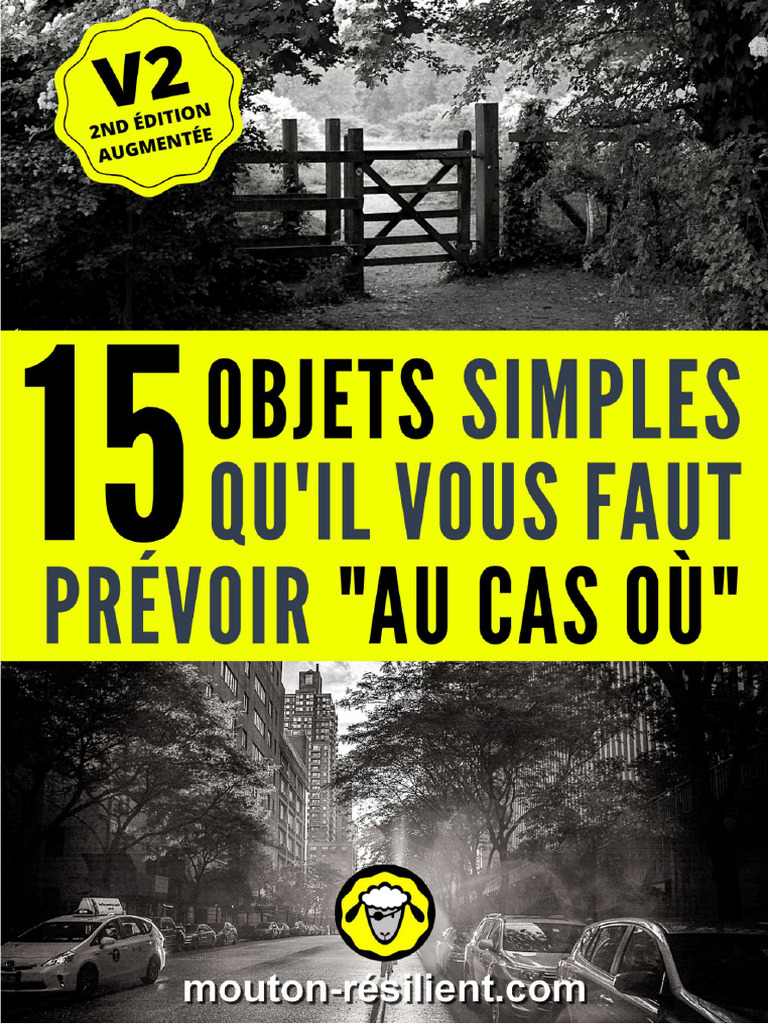 15 Objets V2 Mouton Resilient | PDF