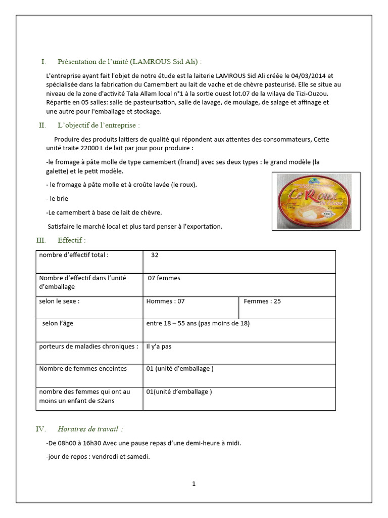 Rapport Hanane | PDF