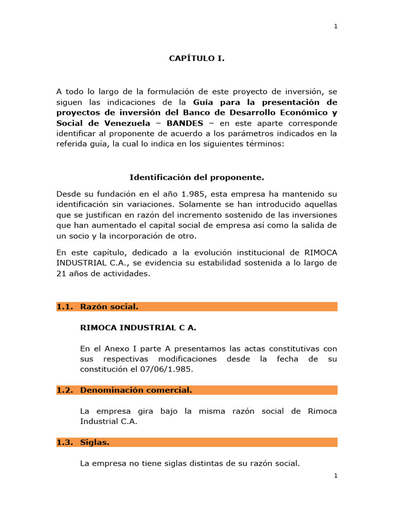 Cap I Identificación Del Proponente | PDF