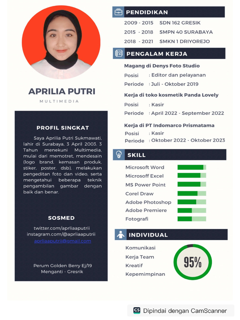CV Aprilia Putri | PDF