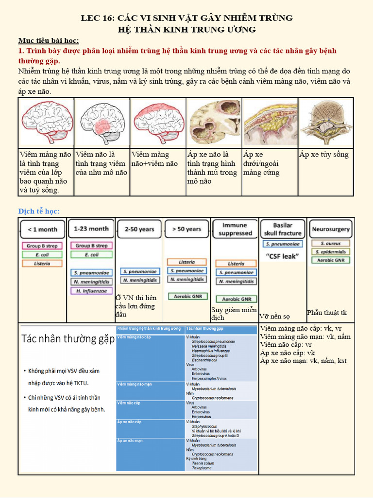 LEC 16 - CÁC VI SINH VẬT GÂY NHIỄM TRÙNG HỆ THẦN KINH TRUNG ƯƠNG ...