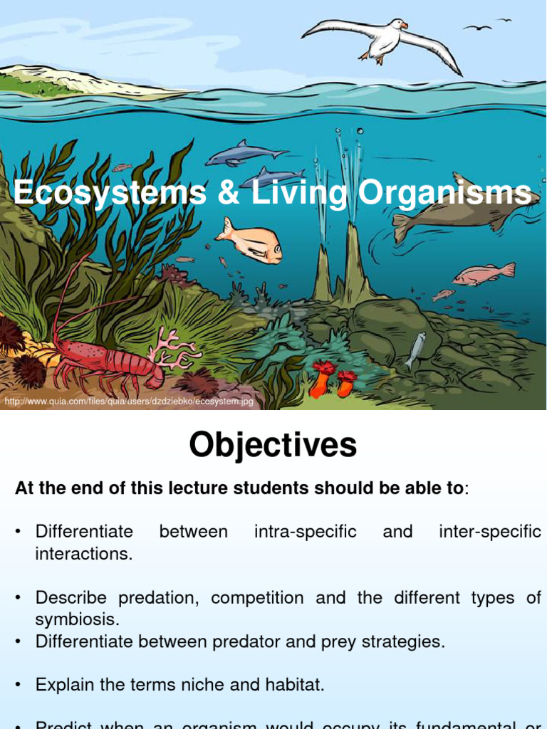Lecture #5 - Environmental Studies | PDF | Predation | Ecological Niche