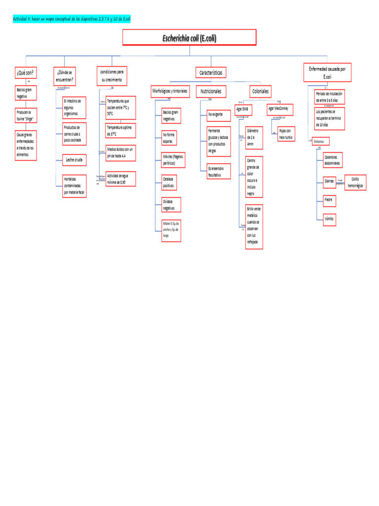 Mapa Conceptual E Coli | Descargar gratis PDF | Escherichia coli | Causas de la muerte