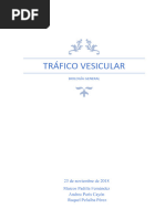 La Célula - Tráfico Vesicular Proteínas COP-I y COP-II | PDF | Retículo ...