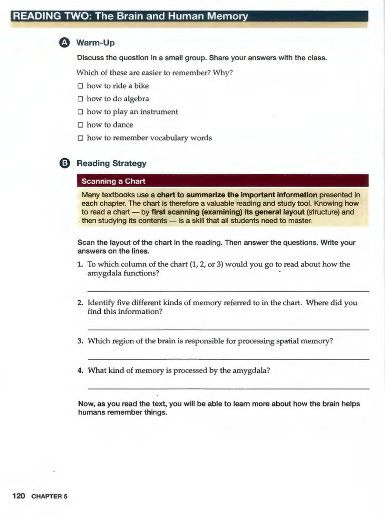 The Brain and Human Memory | PDF | Memory | Hippocampus