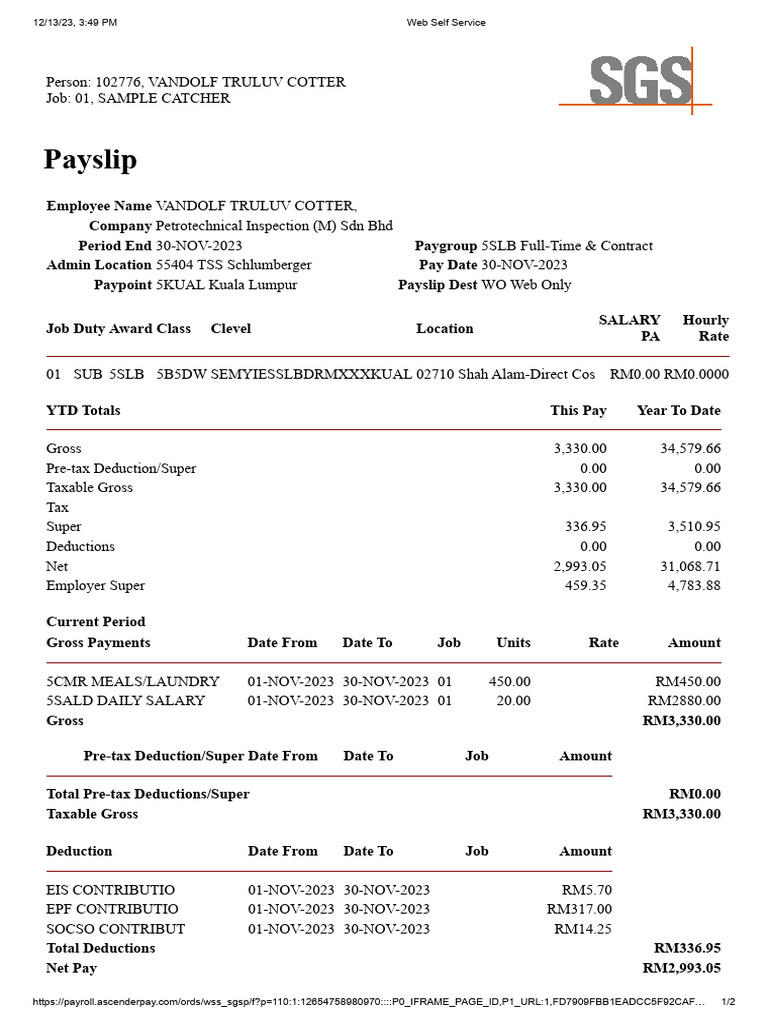 November Payslip | PDF | Services (Economics) | Money
