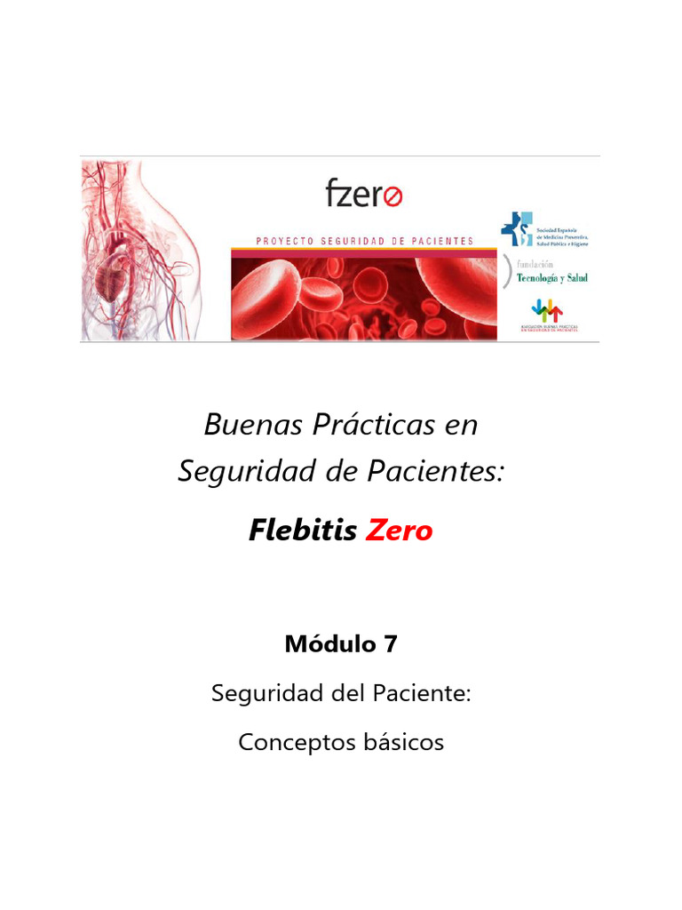VII - Flebitis Zero - Seguridad Del Paciente | PDF | Seguridad del ...