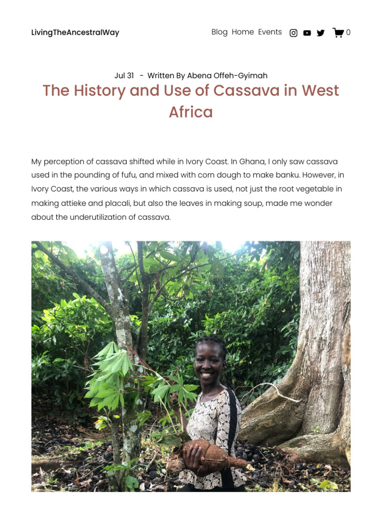 The History and Use of Cassava in West Africa - LivingTheAncestr | PDF ...