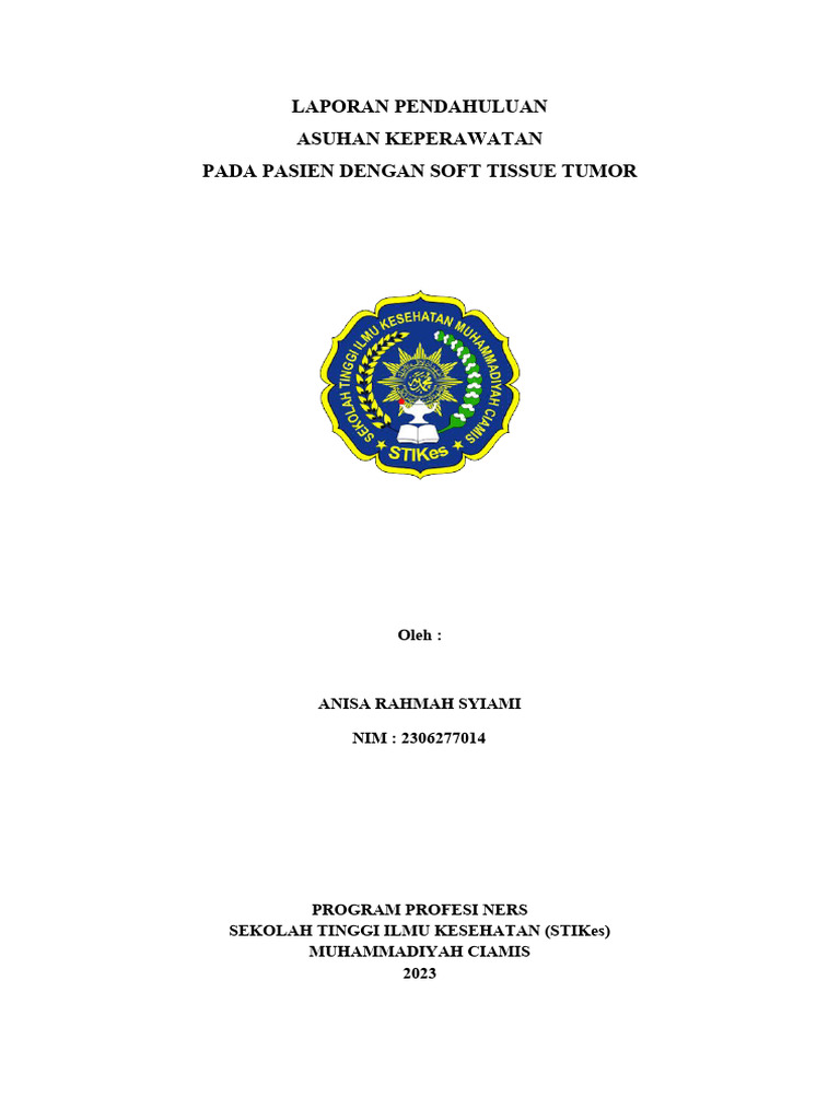 LP STT Anisa Rahmah | PDF