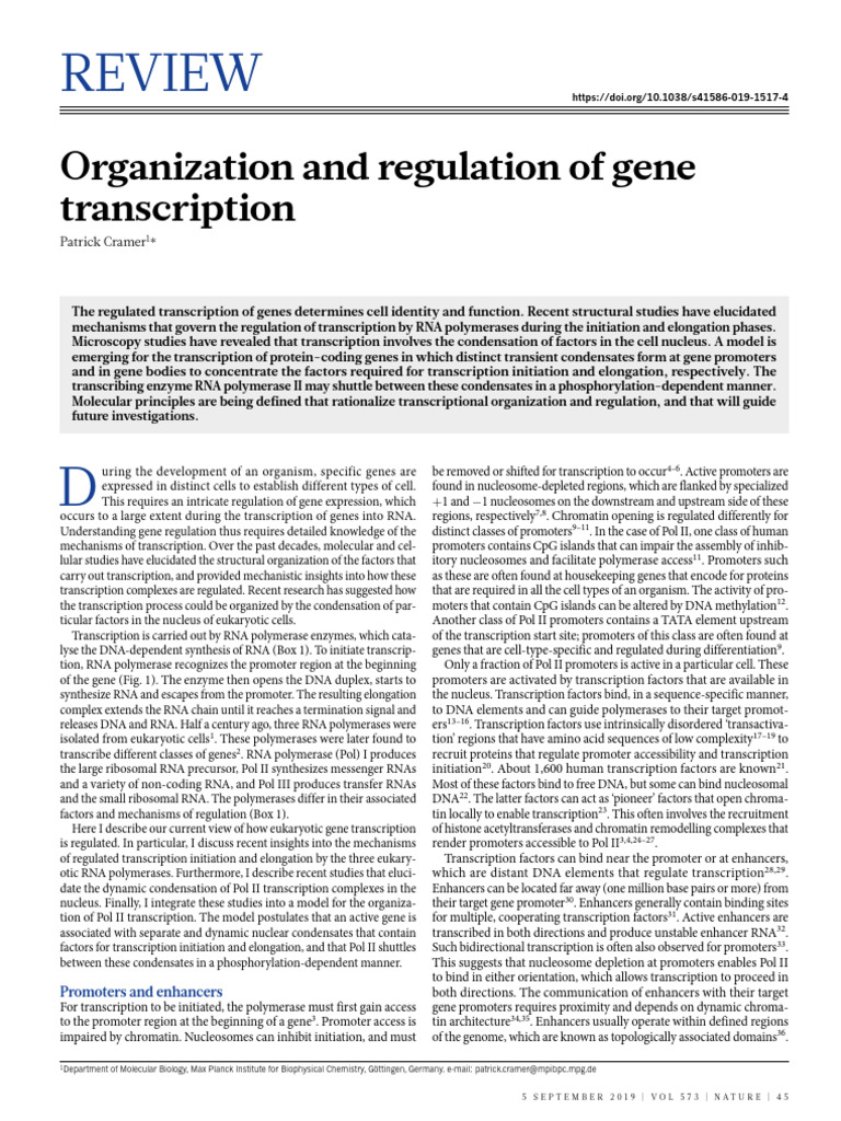 Transcription | PDF | Promoter (Genetics) | Rna