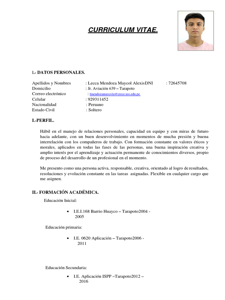 Curriculum Vitae de Maycol Lecca Mendoza | PDF