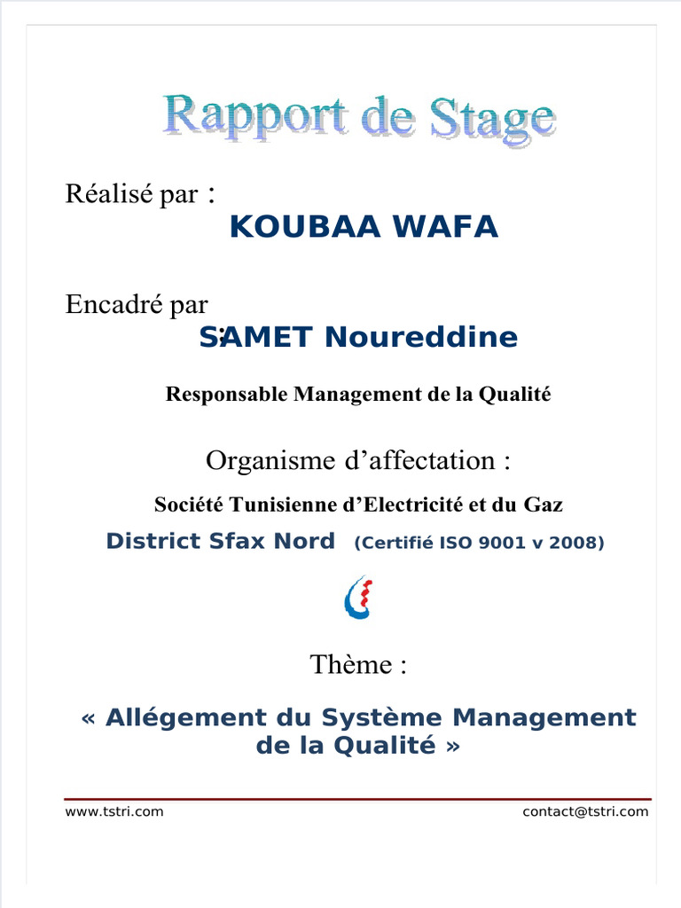 Rapport de Stage Steg 1 | PDF