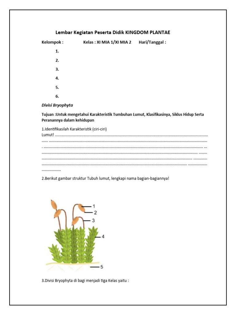 Lembar Kegiatan Peserta Didik KINGDOM PLANTAE | PDF