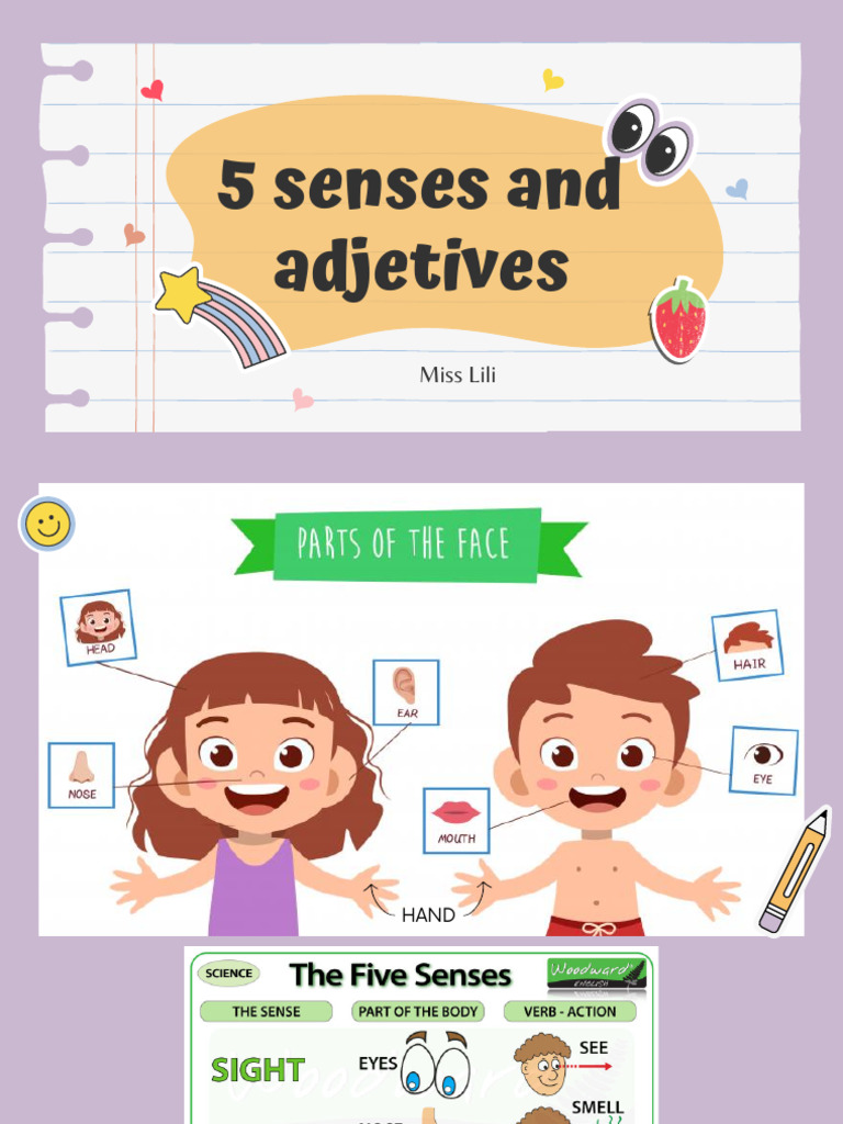 5 Senses Learning for Kids | PDF | Cooking, Food & Wine