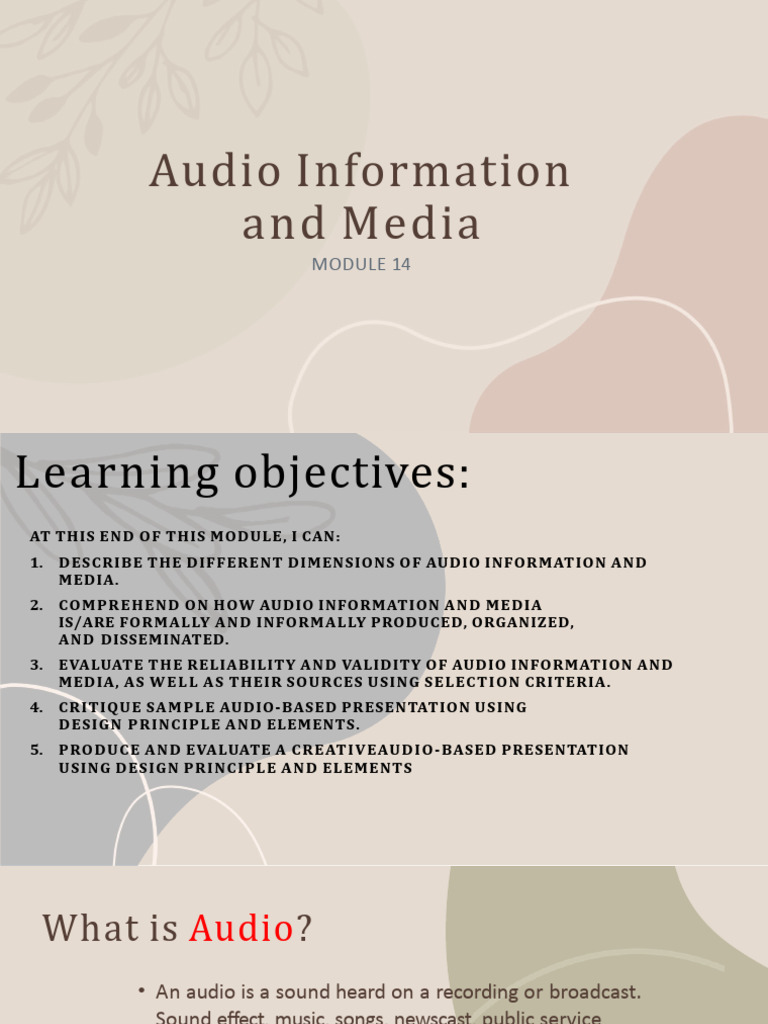 Audio Information and Media 1 | PDF | Digital Audio | Codec