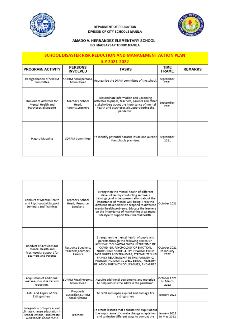 Action Plan SDRRM 2021 2022 | PDF
