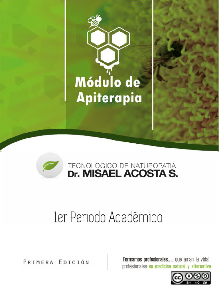 Apiterapia Guía Unidad 1 | PDF