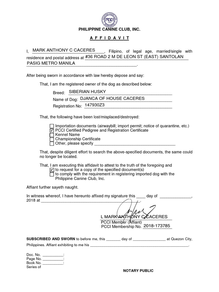 Pcci Affidavit | PDF | Affidavit | Civil Law (Common Law)