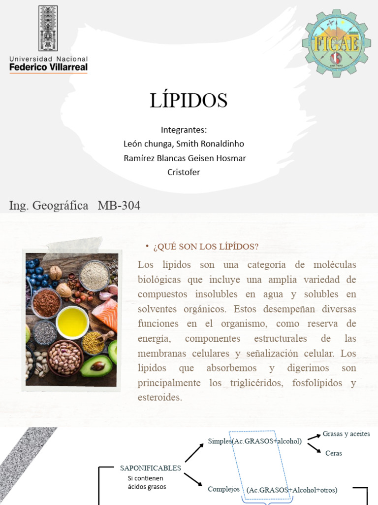 LÍPIDOS | PDF | Lípido | Triglicéridos