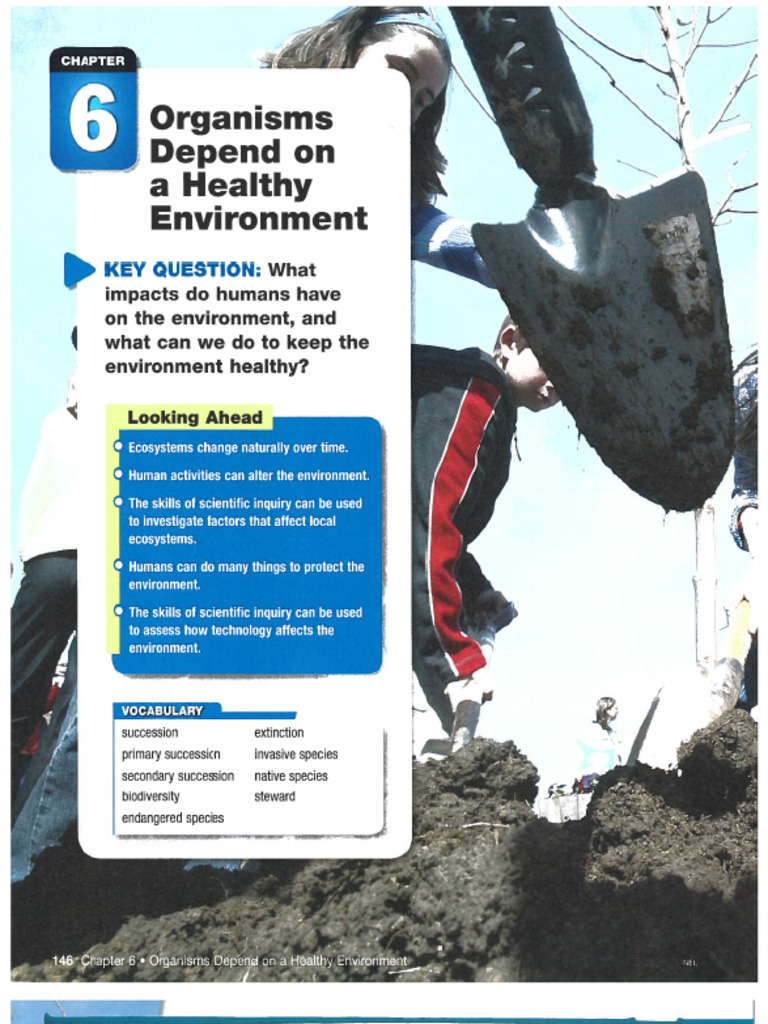 Nelson Book Ch.6 | PDF