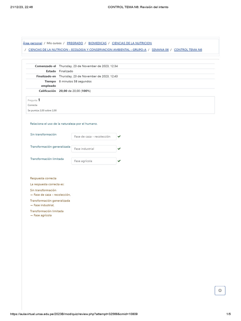 CONTROL TEMA N6 - Revisión Del Intento | PDF | Neolítico | Humano