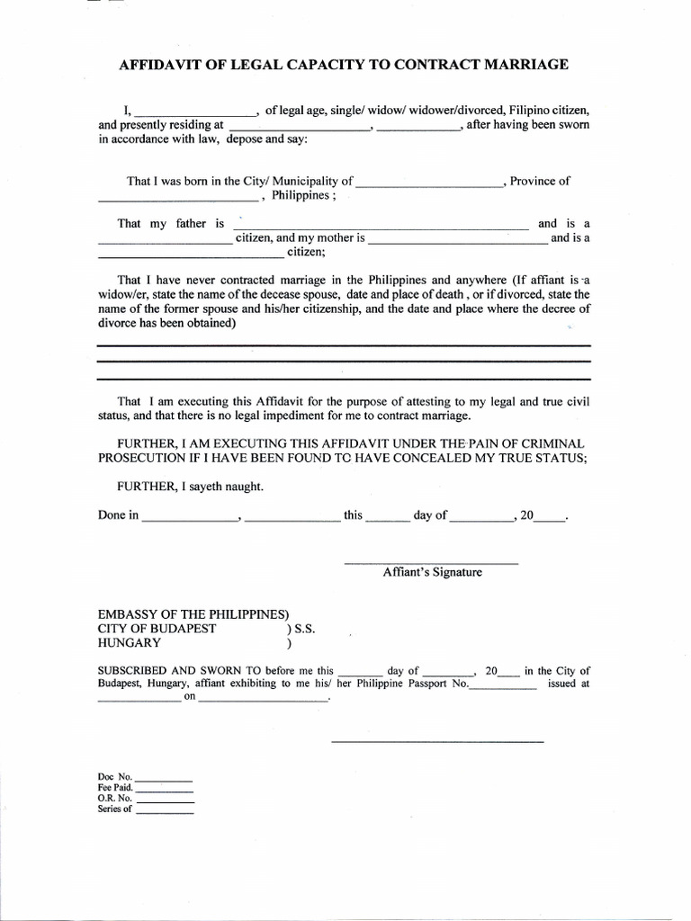 Affidavit For LCCM | PDF | Law