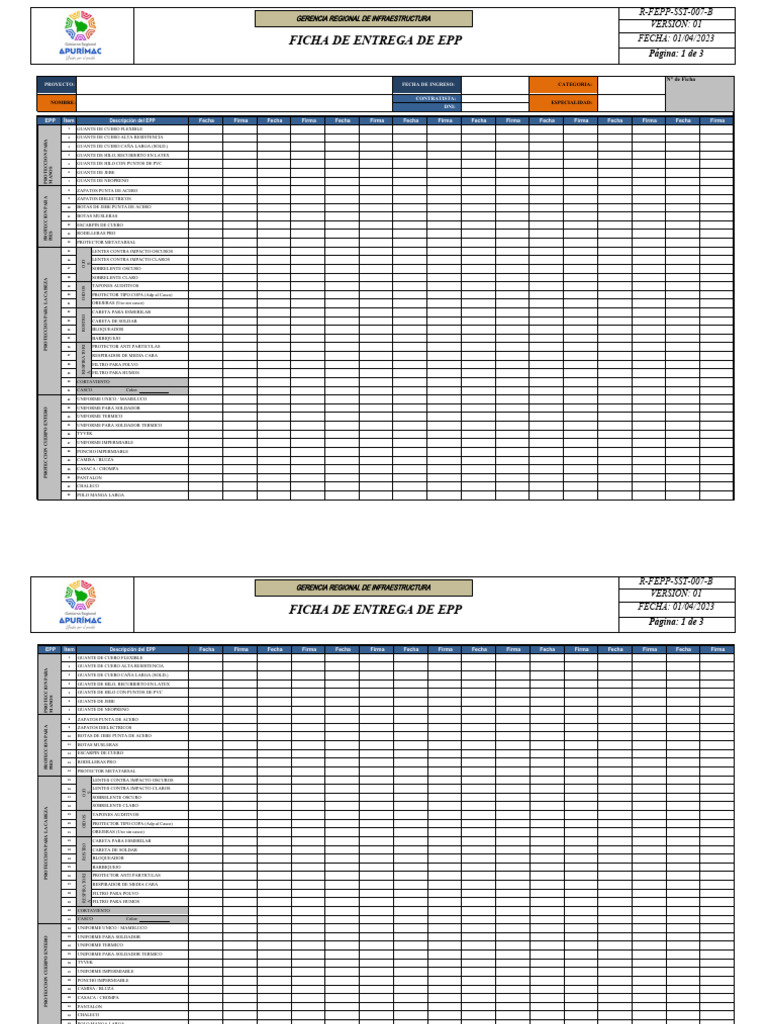 R-FEPP-SST-007-D FICHA DE ENTREGA DE EPP | PDF