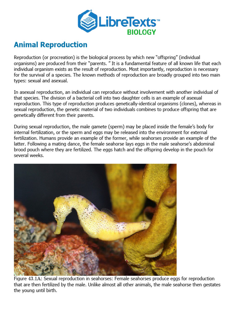 Reproduction Strategies | PDF