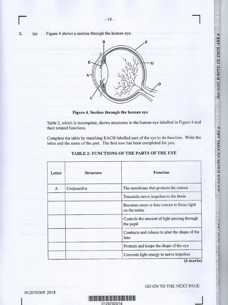 Form 4 Practice Question 1 | PDF