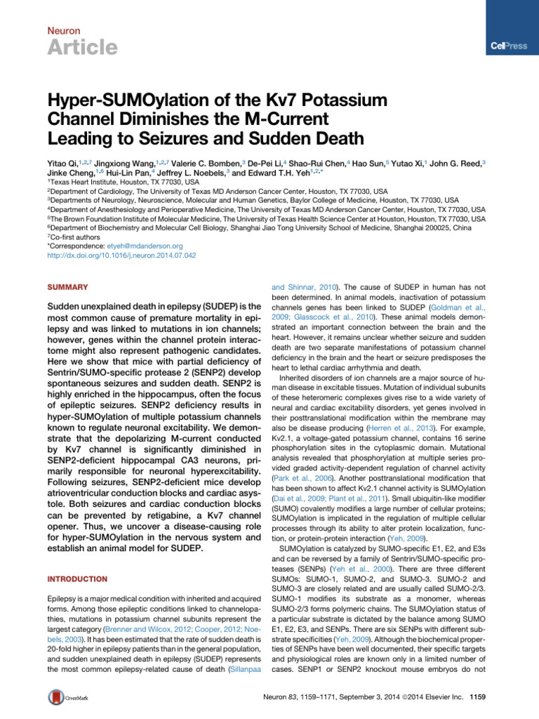 Hyper-SUMOylation-of-the-Kv7-Potassium-Channel-Dim | PDF