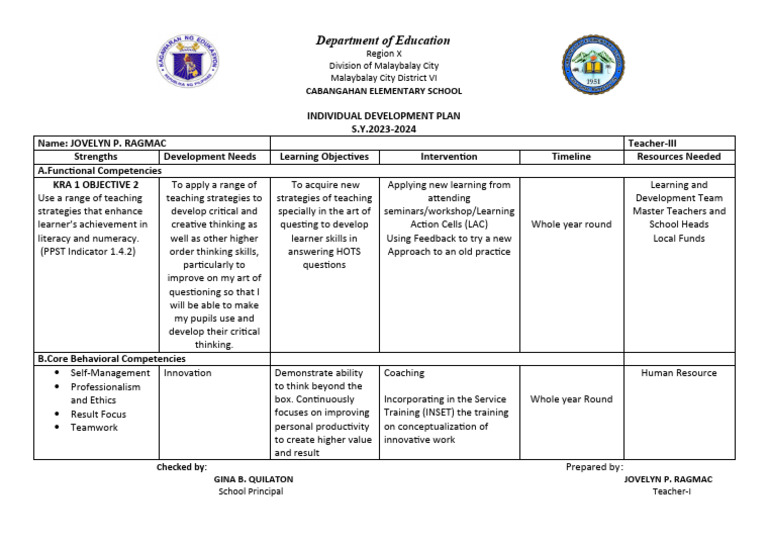 Individual Development Plan | PDF