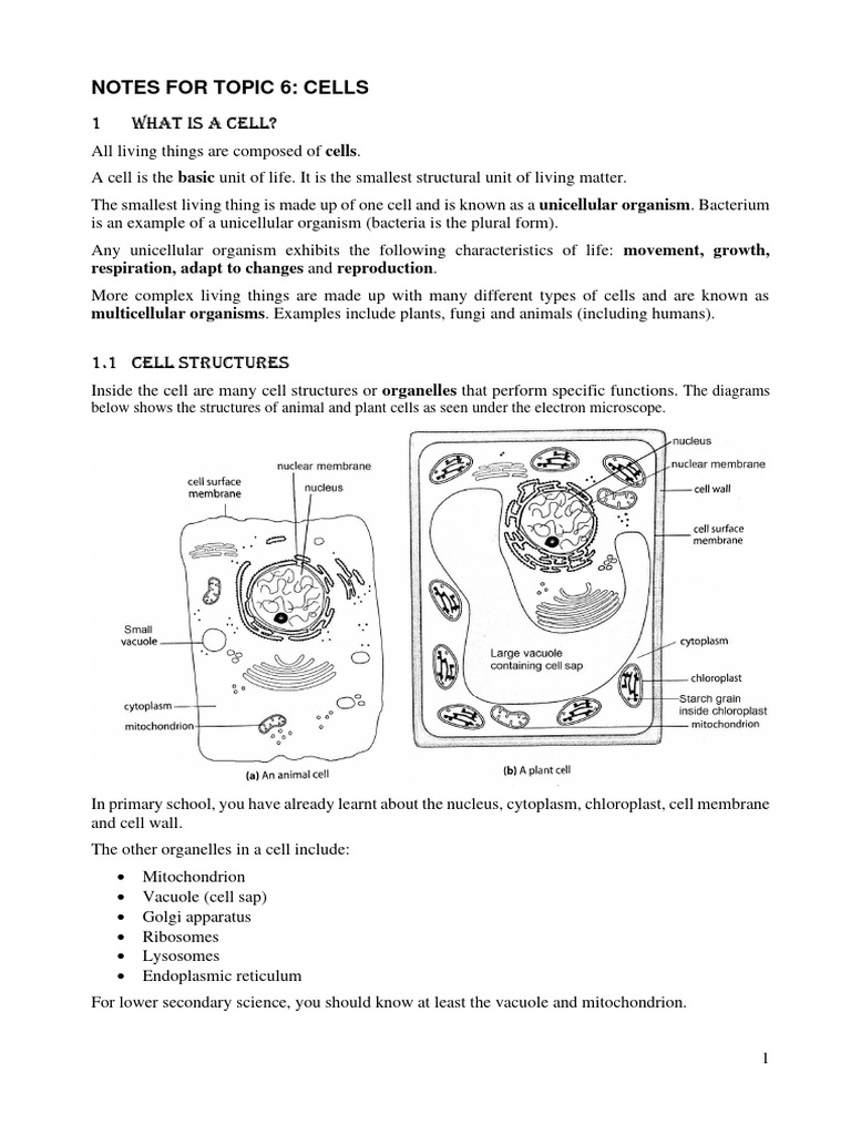 Topic 6 Cells Notes | PDF | Osmosis | Cell (Biology)