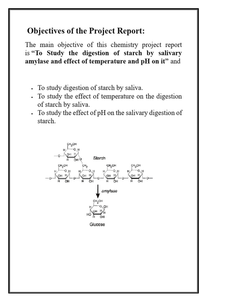 Chemistry Project | PDF | Saliva | Chemistry