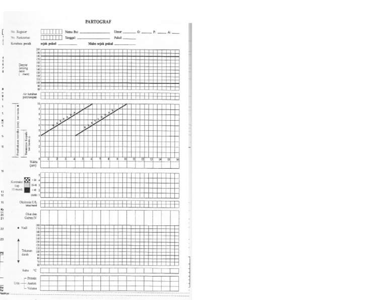 Format Partograf | PDF