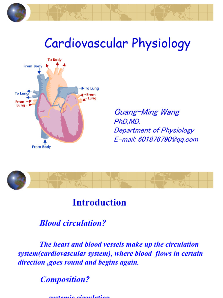 Cardiovascular Physiology | PDF | Diastole | Heart Valve
