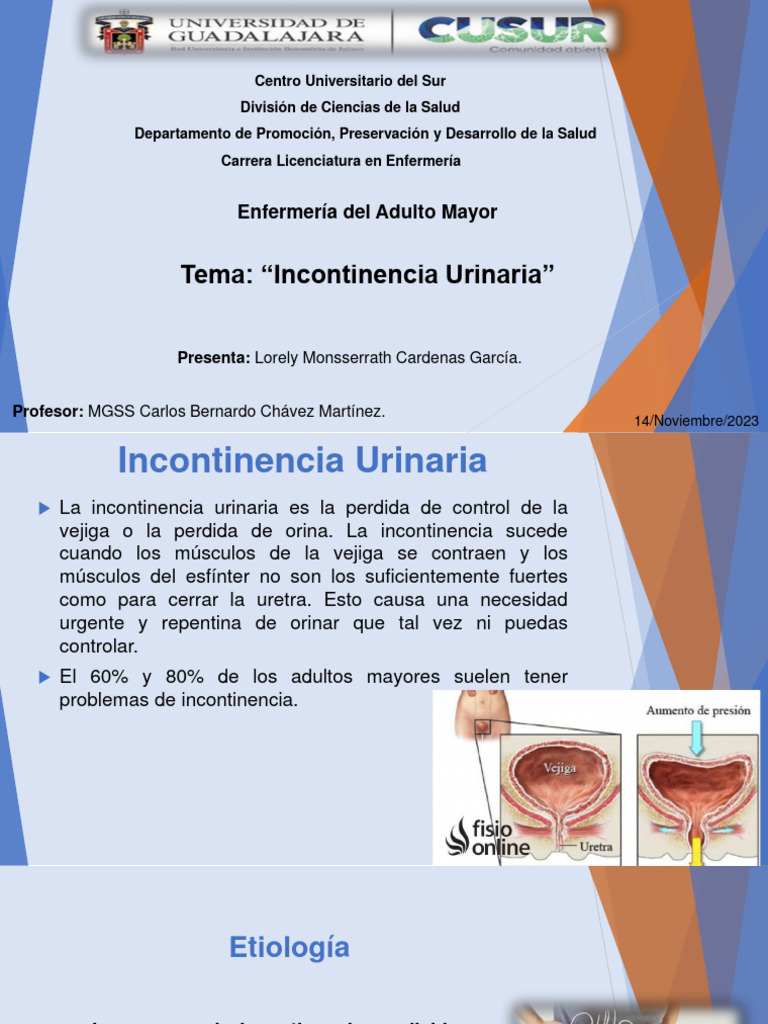 Incontinencia Urinaria_LMCG | PDF | Incontinencia urinaria | Sistema urinario