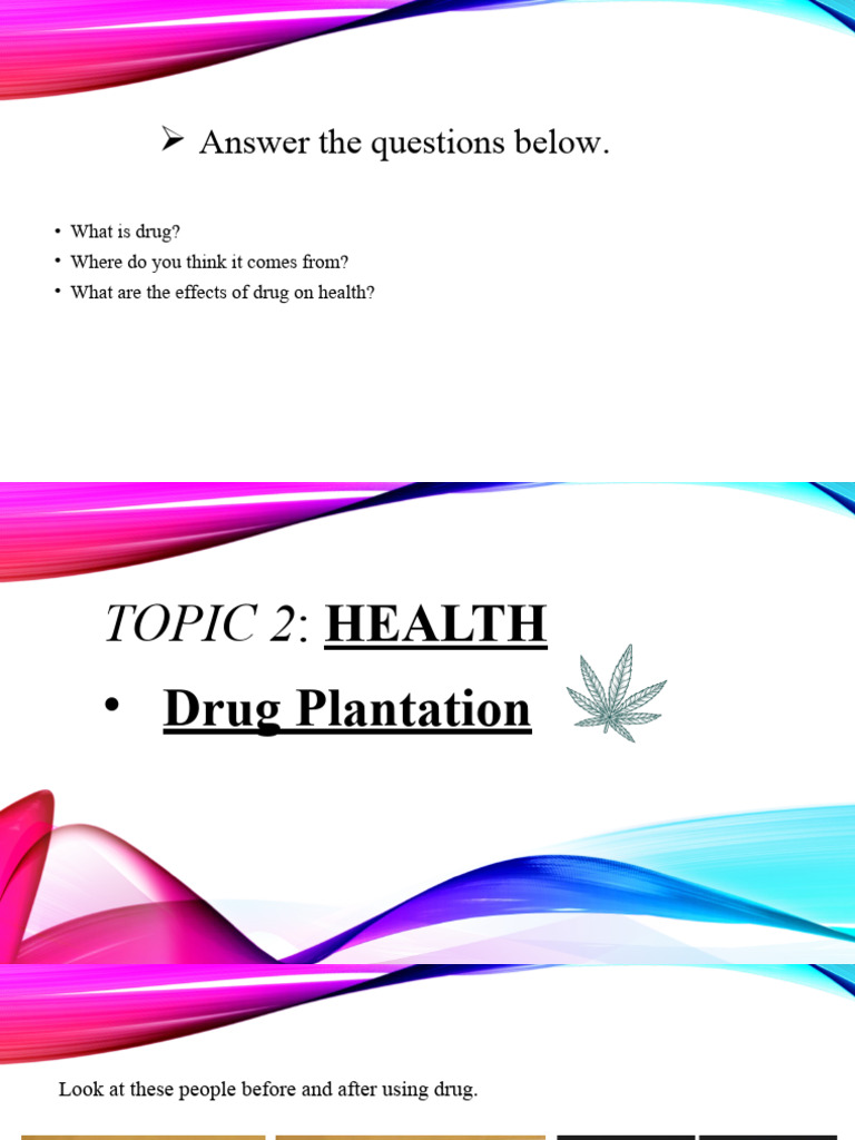 Drug Plantation | PDF