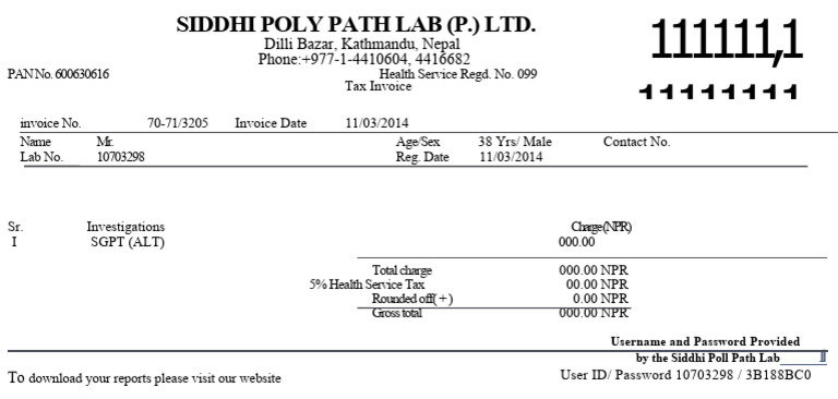 Invoice-011 (1) | PDF