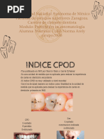 Indice Cpod y Ceo Dental | PDF | Diente | Odontología