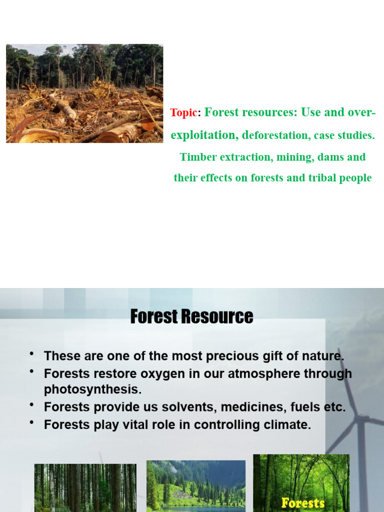 Forest Resources | PDF