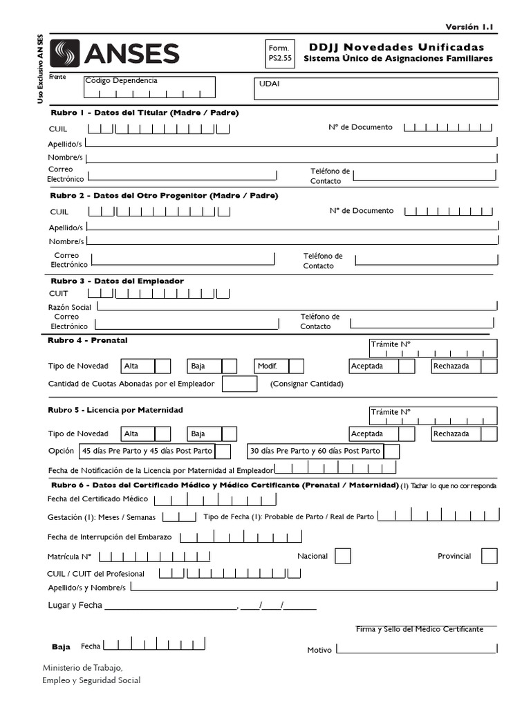 Formulario ANSES PS.2.55 | PDF